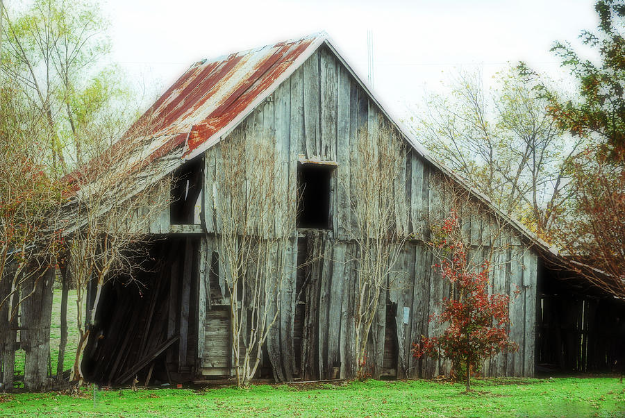 Maple Barn Photograph by Lisa Moore - Pixels