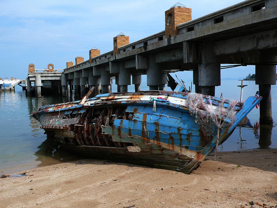 Maritime Carcass Photograph by Gregory Smith - Pixels