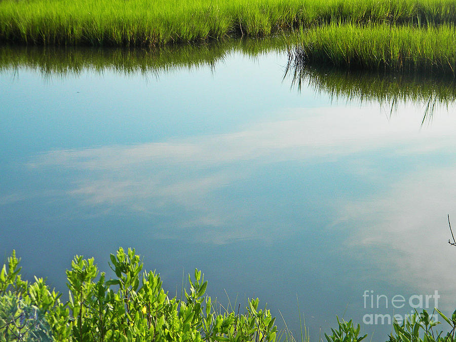 Marsh Reflections Photograph by Rainey Daze - Fine Art America