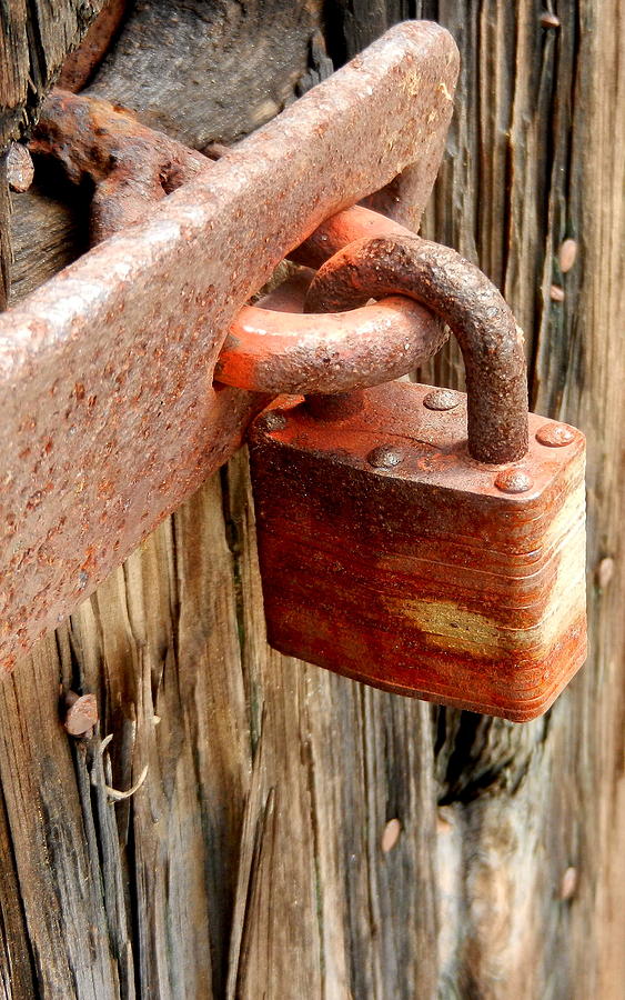 Master Lock Photograph by David Brown