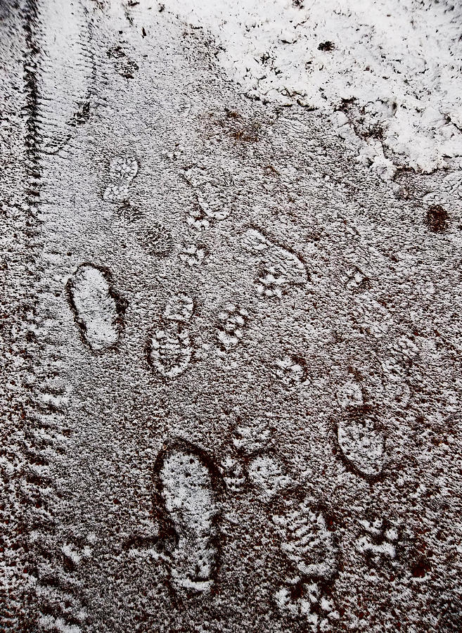 Meander Photograph by Wesley Hahn - Fine Art America