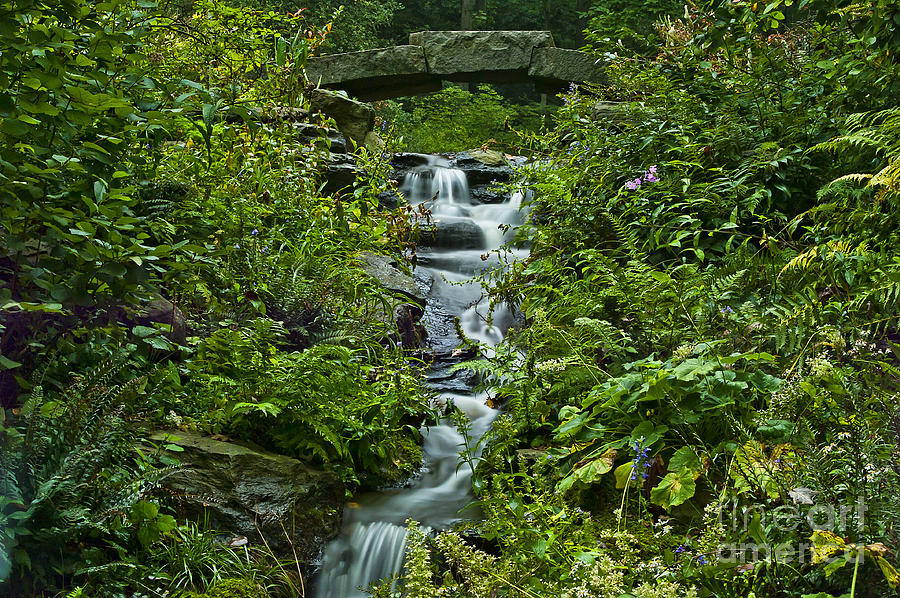 Meandering Stream. Photograph by John Greim - Fine Art America