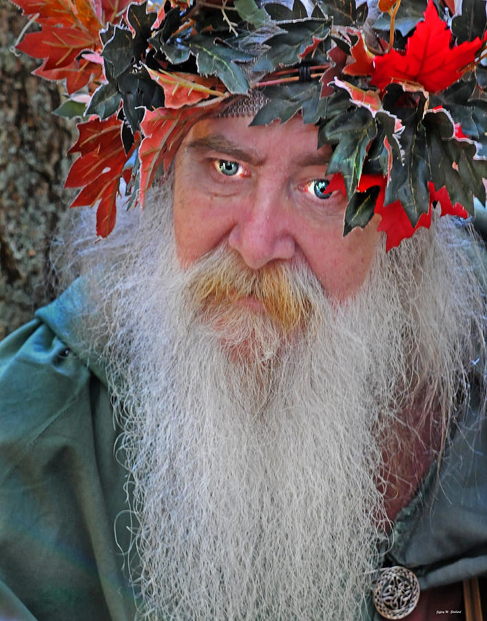 Merlin 01 Photograph by Jeff Stallard - Fine Art America