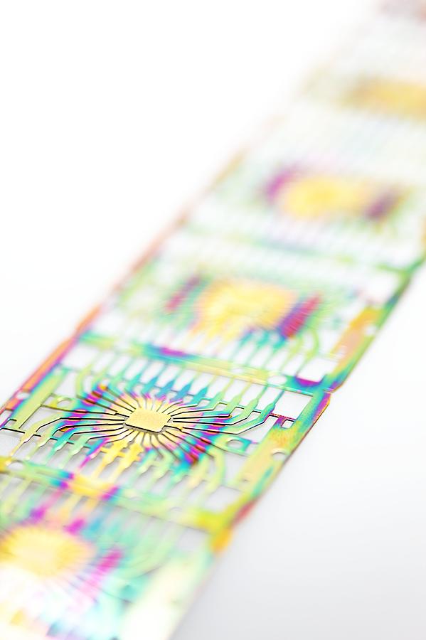 Microprocessor Chips by Science Photo Library