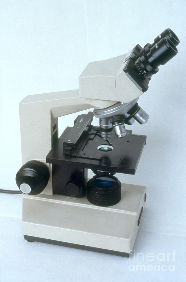Microscope Photograph by Science Source - Pixels