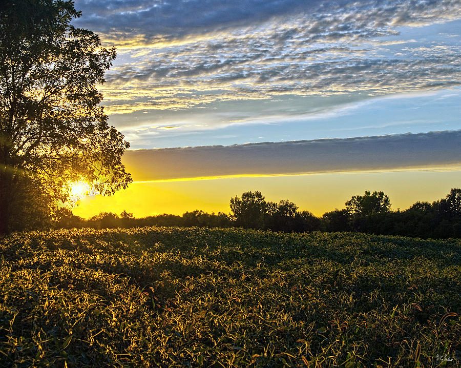 Midwest Sunset Photograph by Brian Lambert - Fine Art America