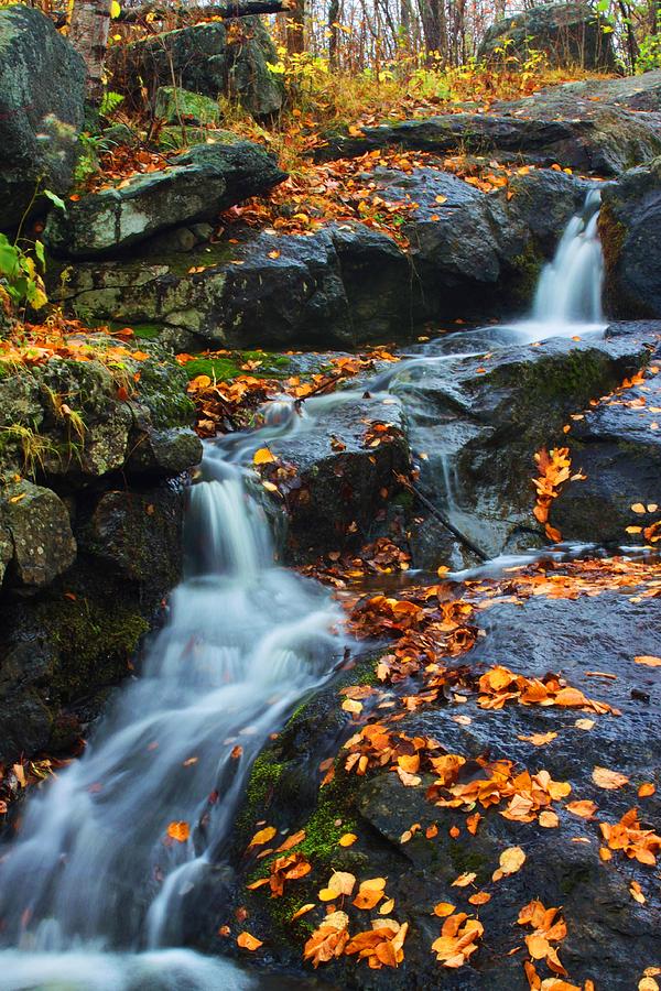 Mini Cascade Photograph by Jamie Rabold - Fine Art America