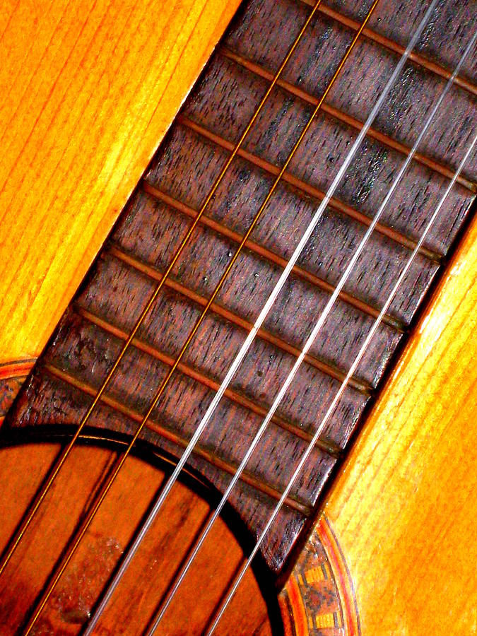 Missing String Photograph by Jose Lopez - Fine Art America