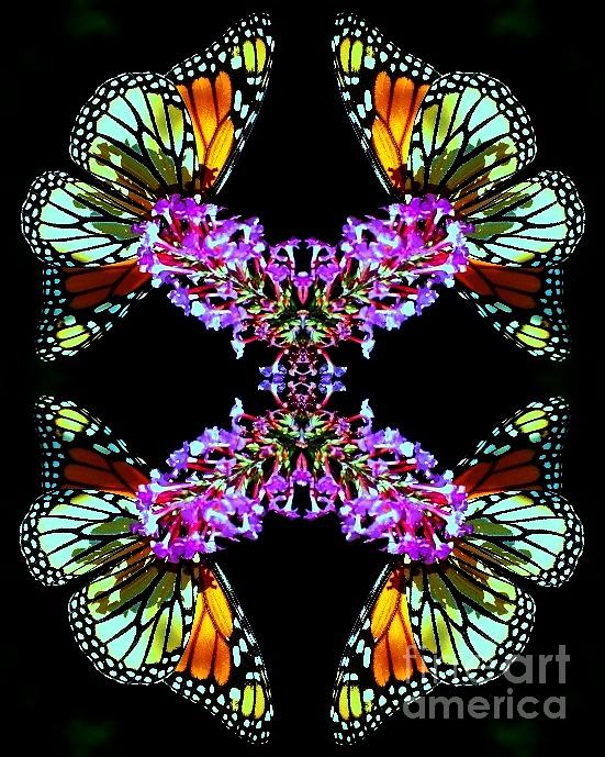 Monarch Crest Photograph by Robert Wilson | Fine Art America