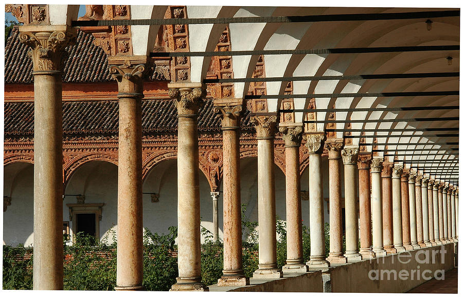 Monastery columns Photograph by Mike Nellums - Fine Art America