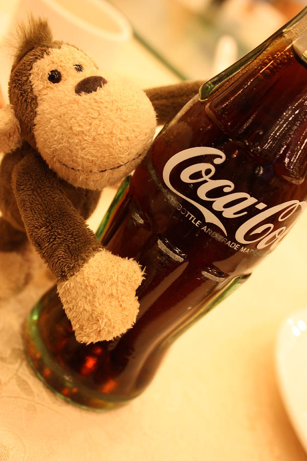 Monkey loves Coke Photograph by Mag Kong - Fine Art America