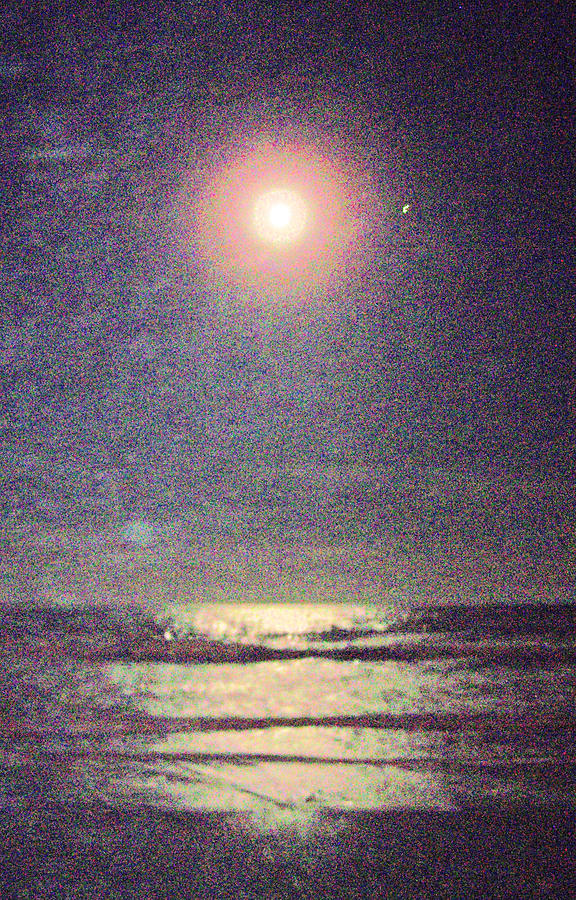 Moonlight Reflection Photograph by Patricia Clark Taylor - Fine Art America