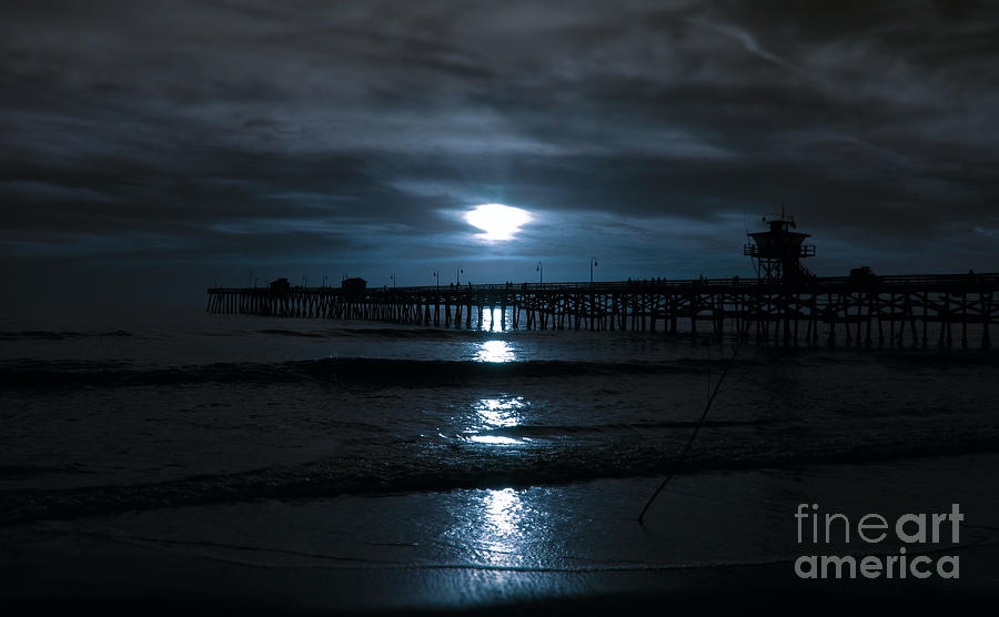 Moonlit Walk Photograph by Stephanie Haertling - Fine Art America