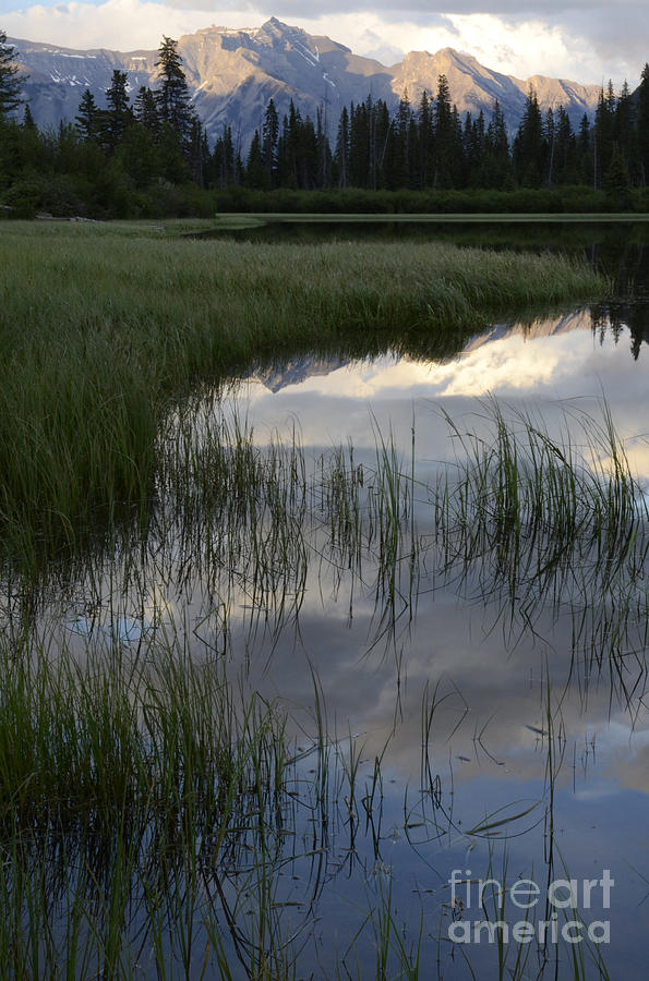 Mountain Solitude Photograph by Bob Christopher | Fine Art America
