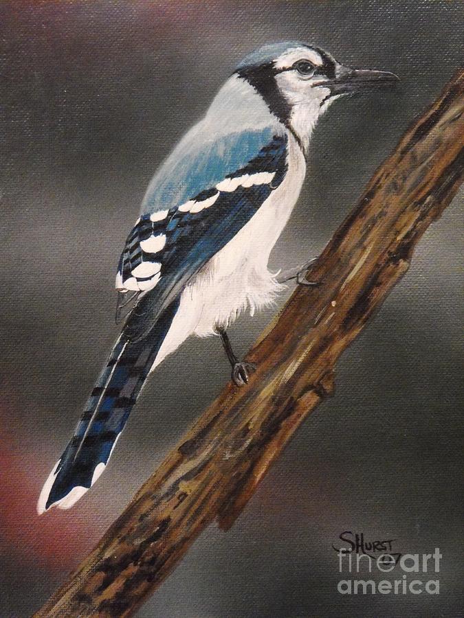 Mr. Jay Painting by Sandy Hurst - Fine Art America
