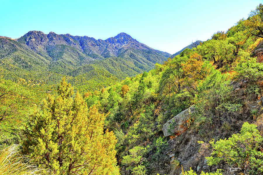 Mt. Wrightson Photograph by Peg Runyan | Pixels