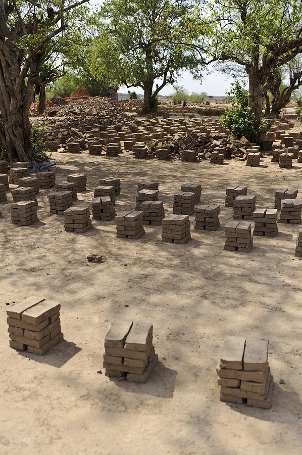 Mud Bricks Drying, Sudan Photograph by Matthew Oldfield - Pixels