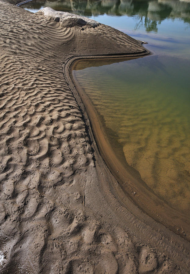 Mud Pool Pattern Photograph by Joe Lategan - Fine Art America