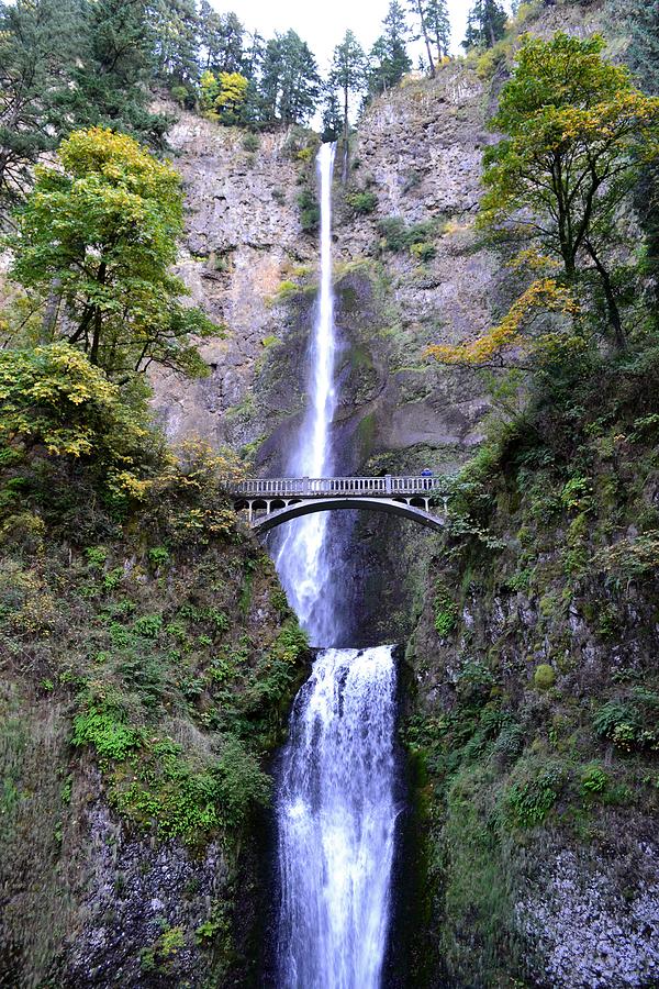 Multnomah Falls Photograph by Ryan C Johnson - Pixels