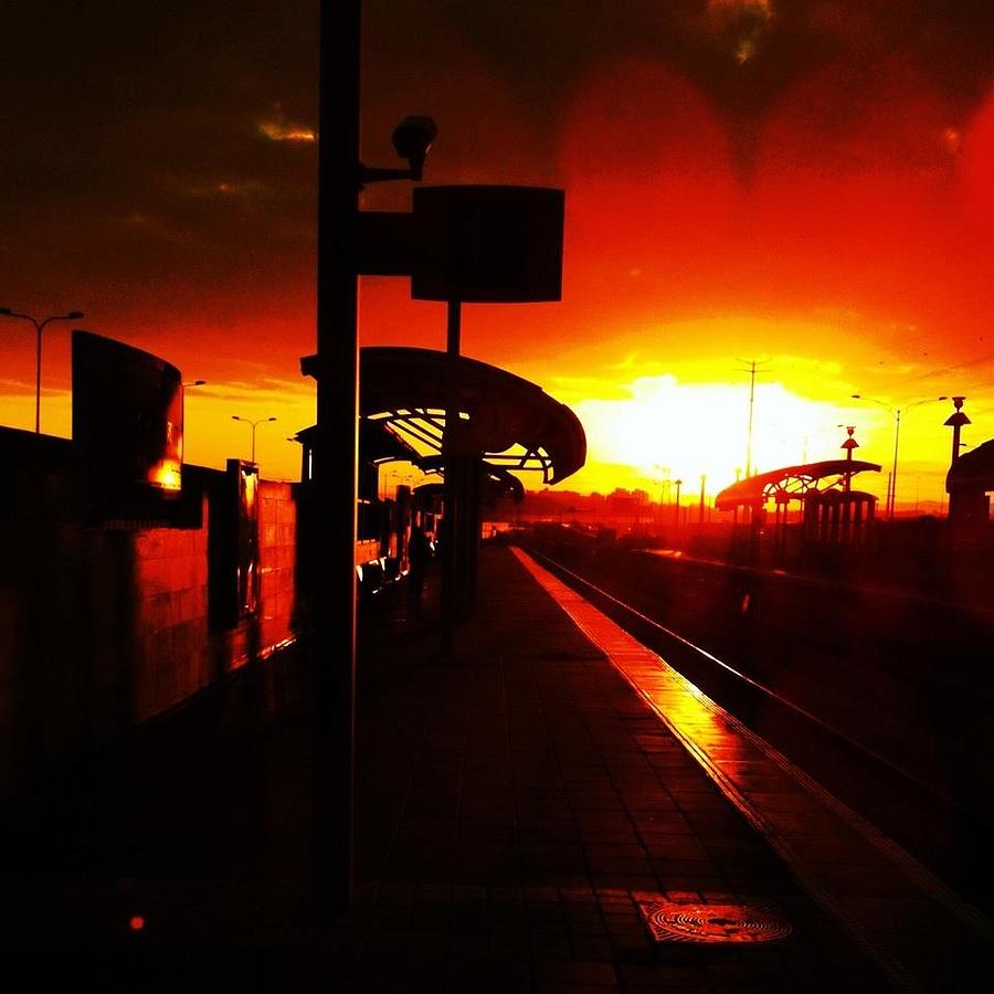 My Filter Pyrography by Dror Gil - Fine Art America