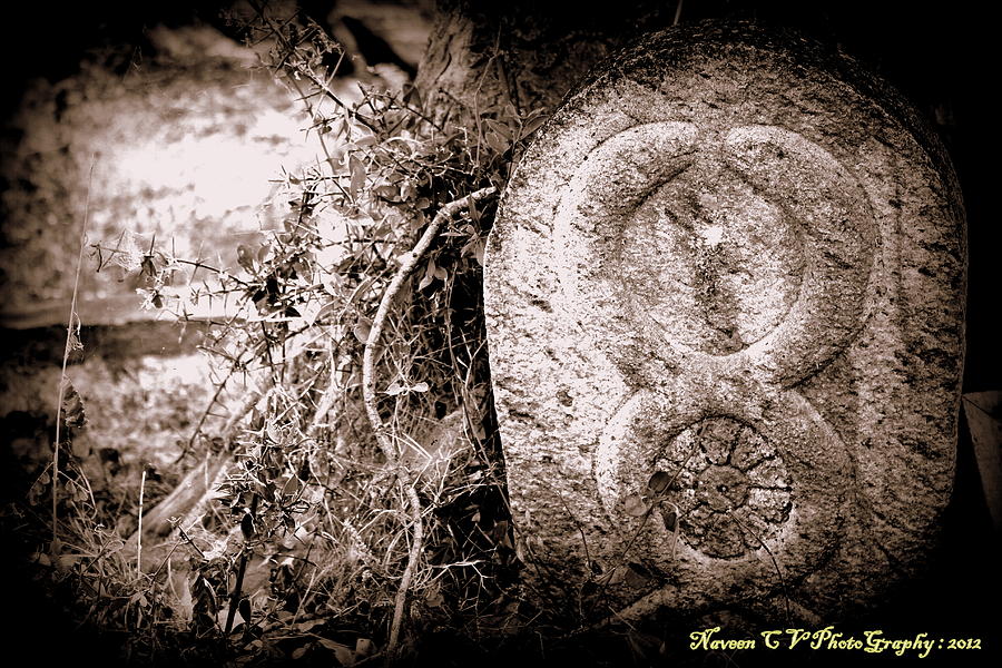Naga Deva Photograph by Naveen Chandru - Pixels