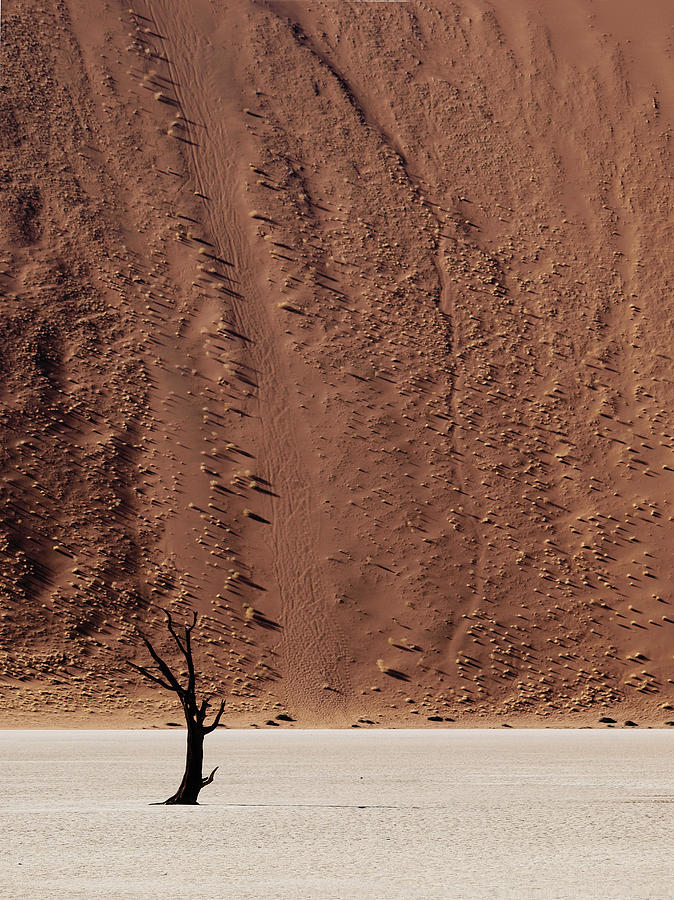 Namibia Solitaire Photograph by Nina Papiorek | Fine Art America