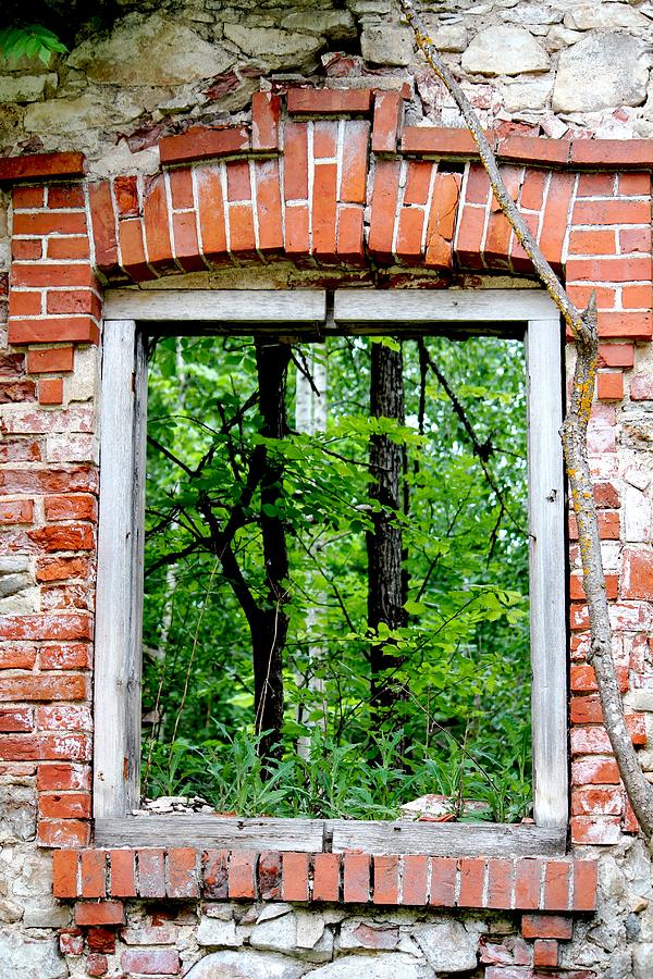 Natural Frame Photograph by Baker Eck - Pixels