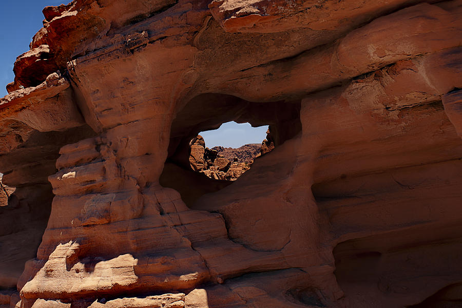 Nature's Window Photograph by Ryan Baxter - Fine Art America