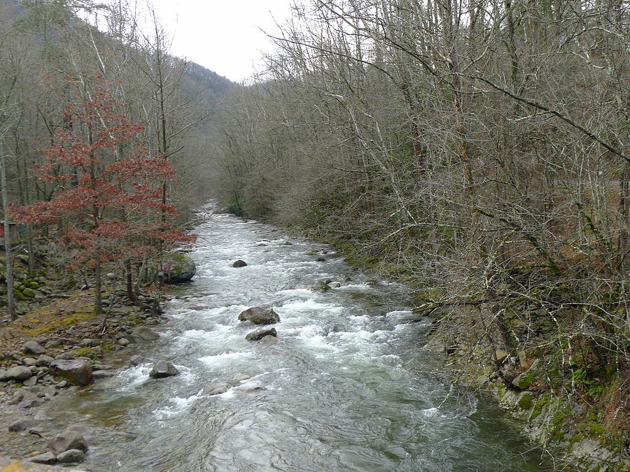 NC River Photograph by JR Moritz - Fine Art America