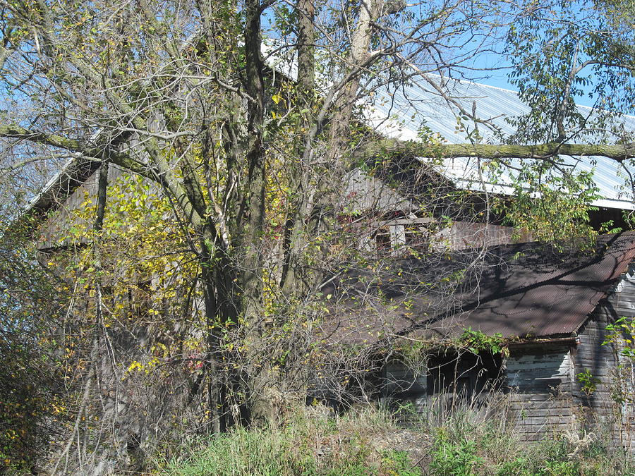 Neglected Farm Property Three Photograph by Tina M Wenger - Fine Art ...