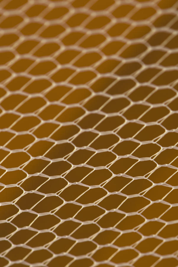 Net Photograph by Igor Sinitsyn - Fine Art America