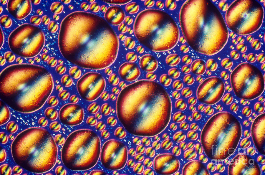 Nickel II Oxide Photograph by Michael W. Davidson - Fine Art America