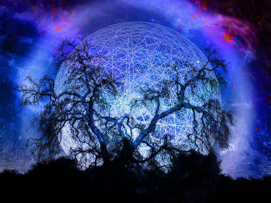 Night Tree Digital Art by Marcel Eskenazy - Fine Art America