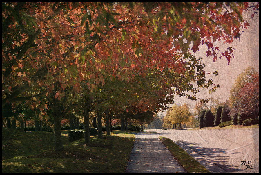 Norman Street Photograph By Devin Rader Fine Art America