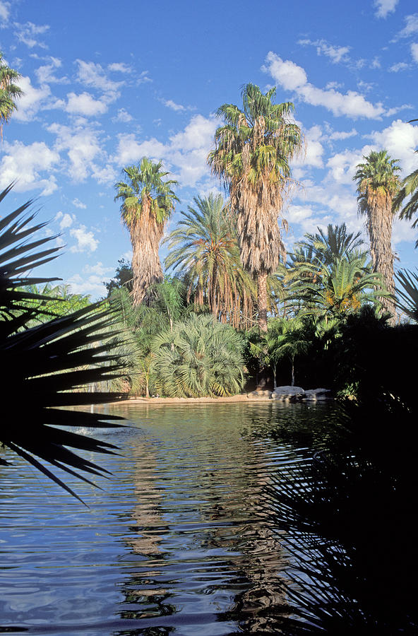 Oasis Photograph by Daniel Blatt | Pixels