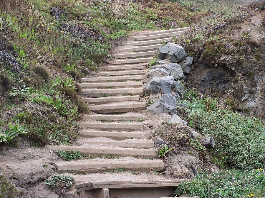 Ocean Steps Photograph by Tim Williams | Fine Art America