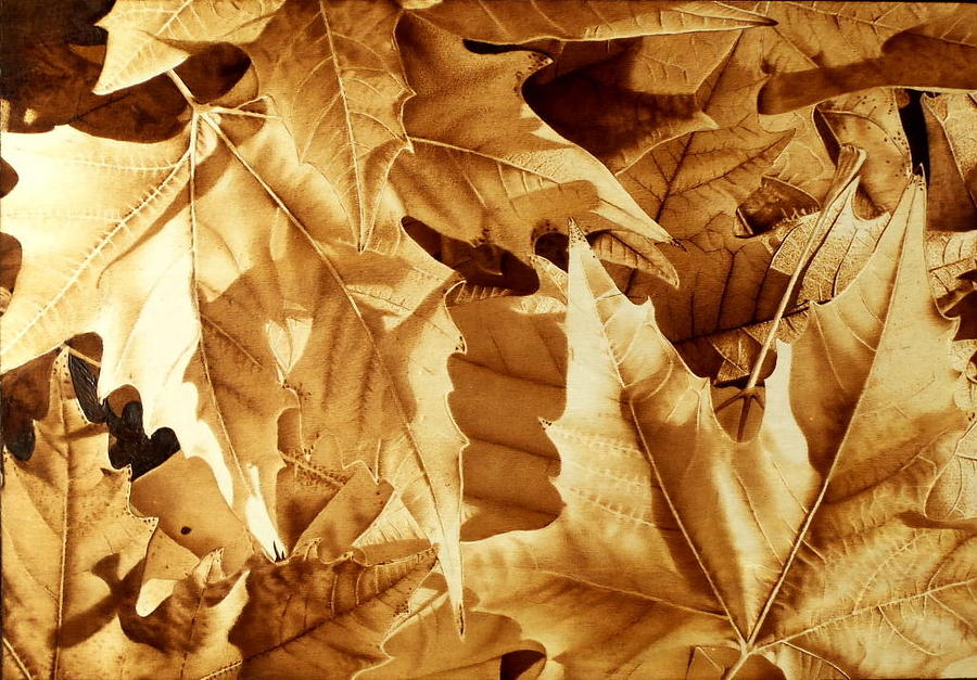 October Pyrography by Juan Carlos Gonzalez - Fine Art America