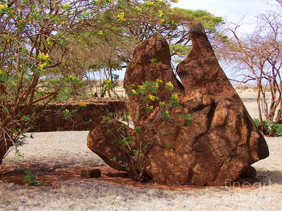 Odd Rock - 1 Photograph by Mary Deal | Fine Art America