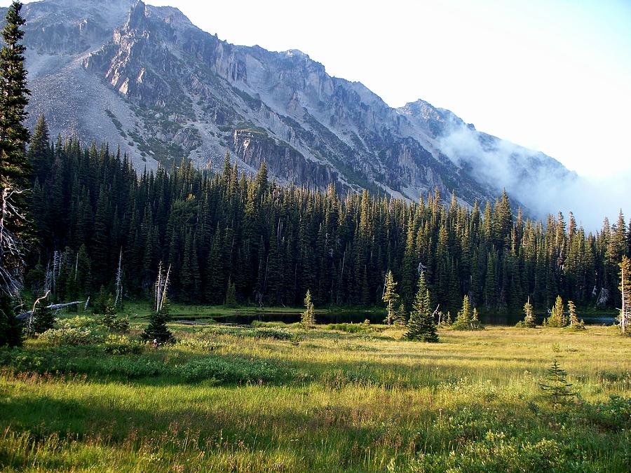 Old Desolate Photograph by Mark Bowmer - Fine Art America