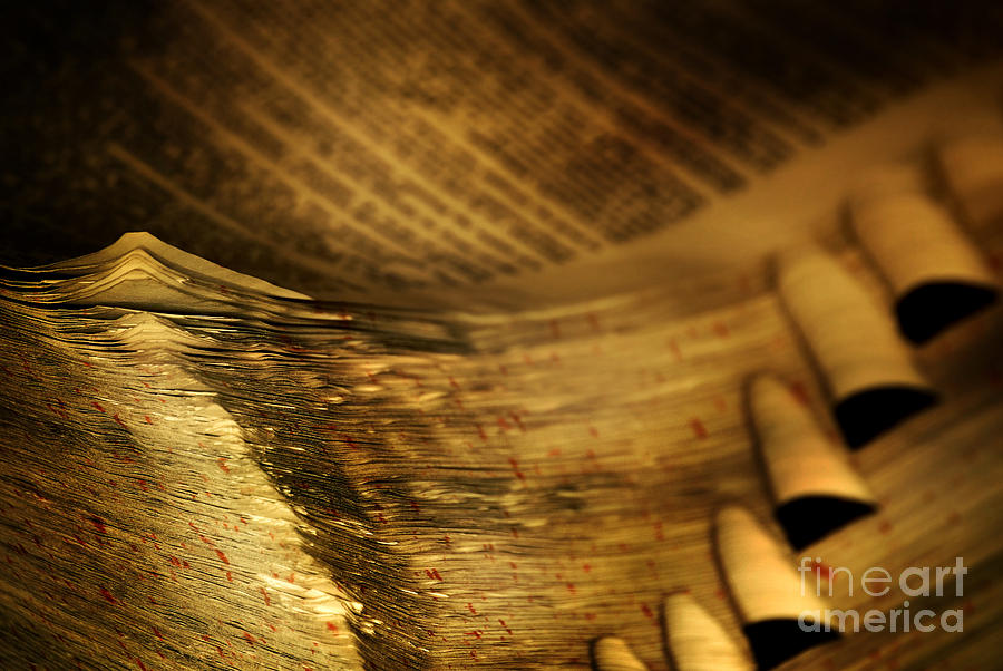 Old Dictionary Photograph by HD Connelly | Fine Art America