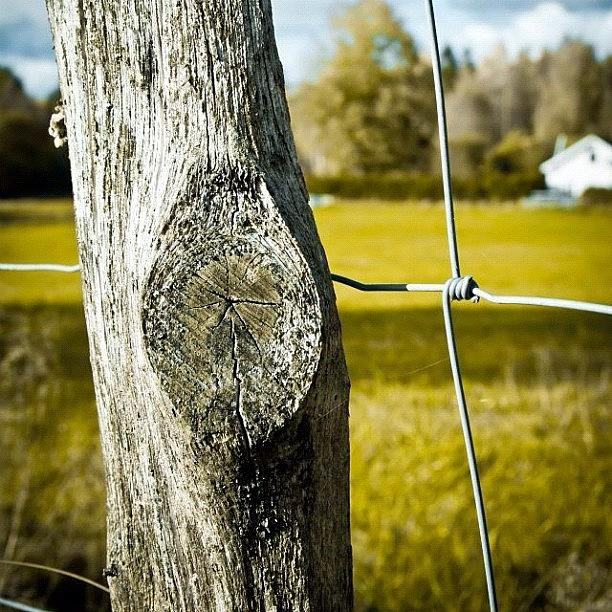 Old Farming Post Photograph by Robert Hellstrom - Fine Art America