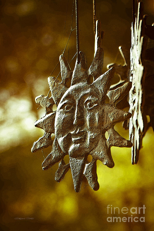 Old Sol Hanging Ornaments Photograph by Gordon Wood - Fine Art America