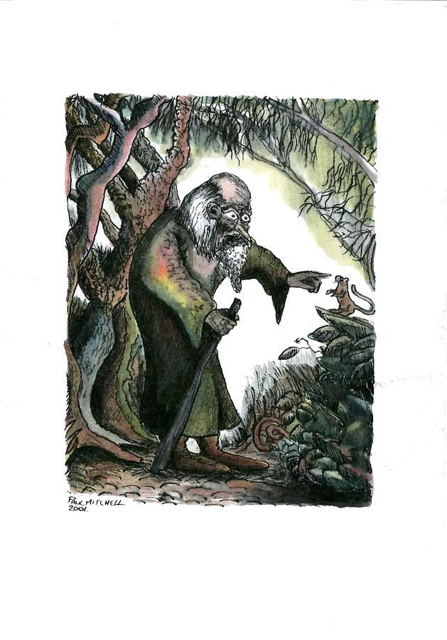 Old Wizard Painting by Paul Mitchell - Fine Art America