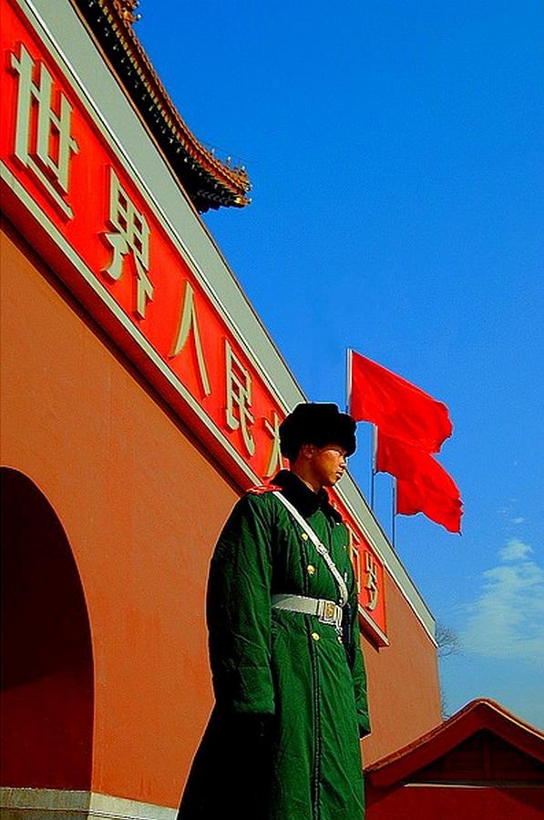 On Guard Photograph by Anthony Silver - Fine Art America