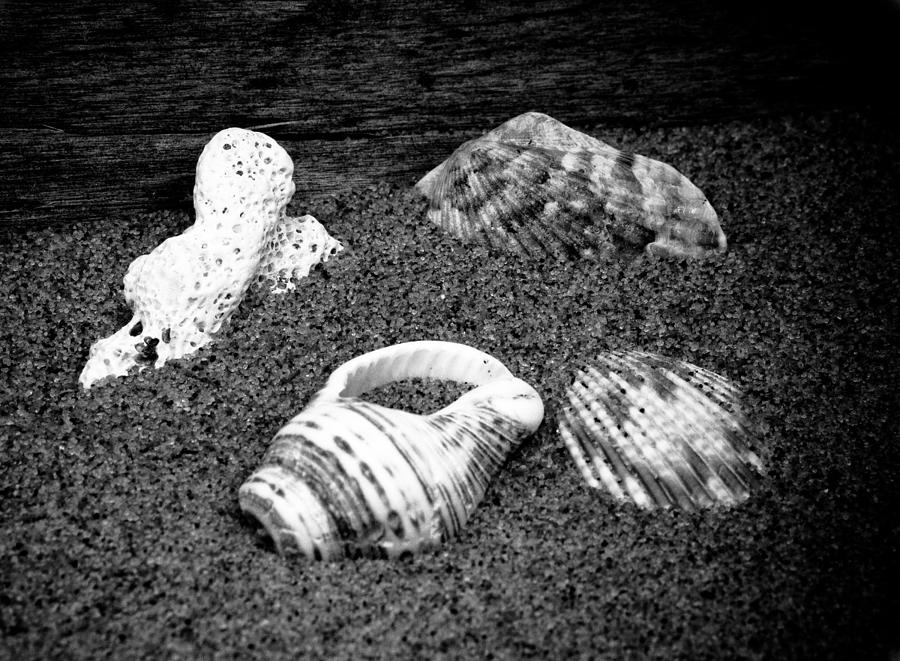 On the Beach Photograph by Dave Hahn - Pixels