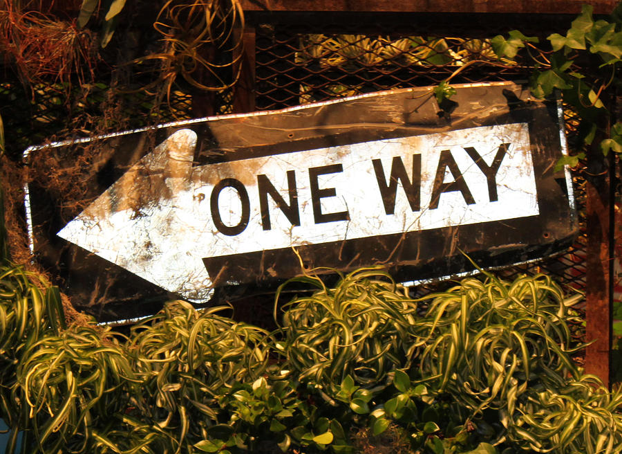 One Way Photograph by Patricia Richter - Fine Art America