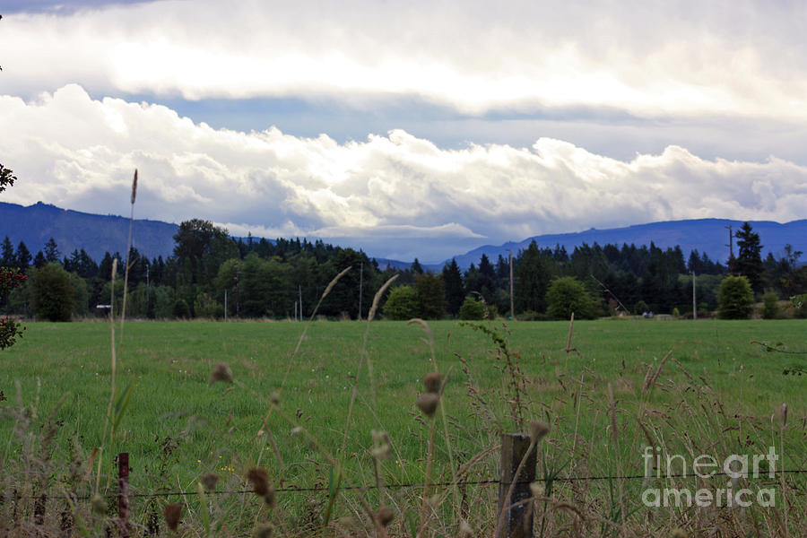 Open Field Photograph by Douglas Cloud - Fine Art America