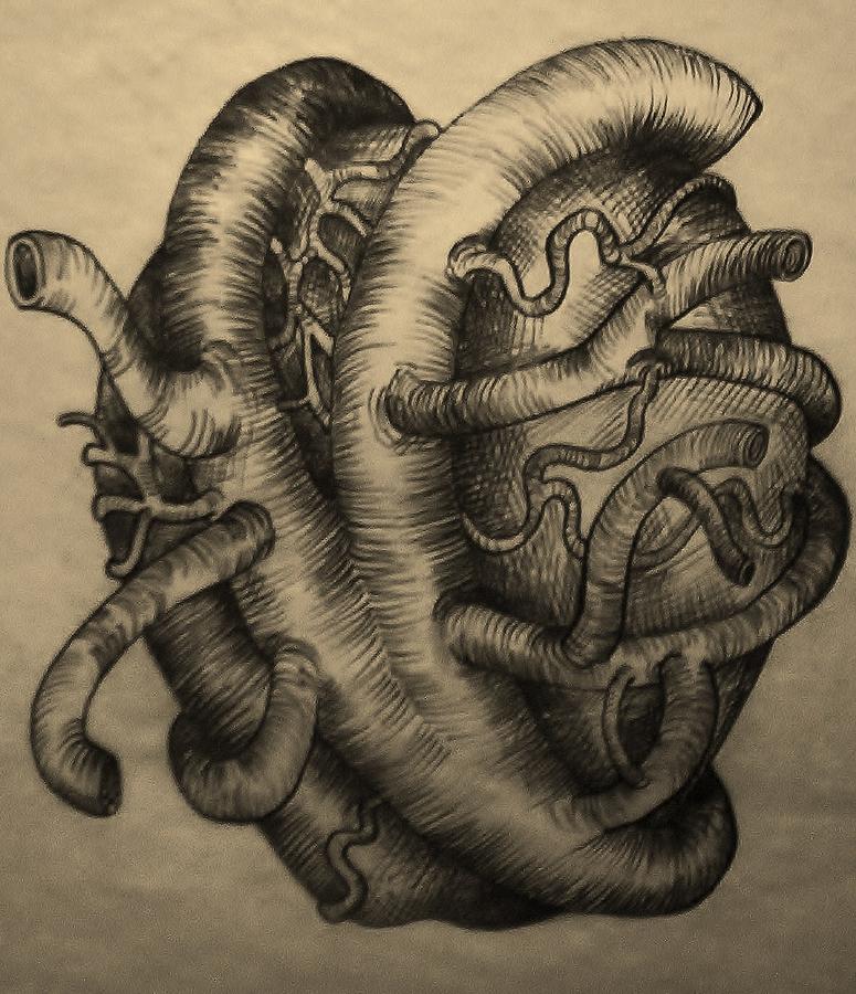 Open Heart Drawing by Nancy Mitchell - Fine Art America