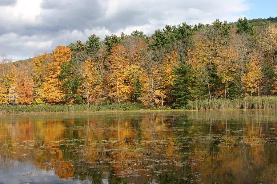 Orange Fall Photograph by Rachel Ware