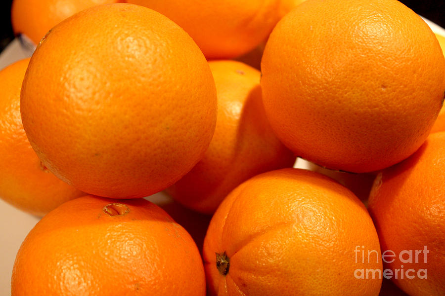 Oranges by the Dozen Photograph by Barbara A Griffin